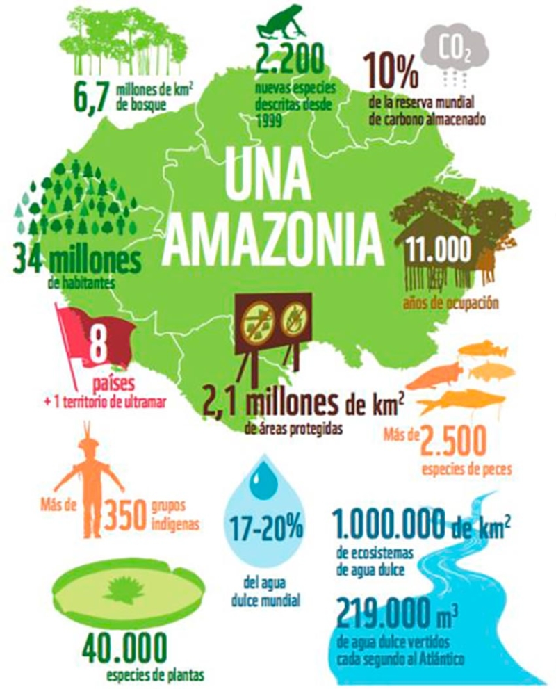 Magazine All about Amazon Rainforest – SGK-Planet