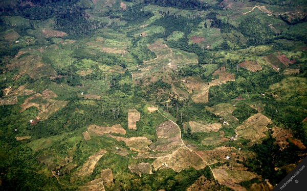 ¿Dónde queda Borneo? - SGK-Planet