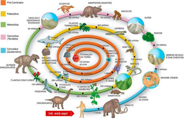 ¿Qué significa el término Antropoceno? - SGK-Planet