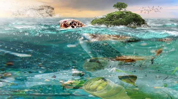 What are the causes and consequences of environmental pollution? - SGK ...