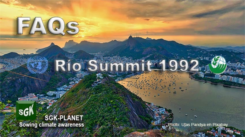 What is the “Declaration of principles relating to forests” Rio 1992 ...