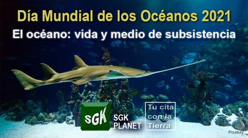 Día Mundial de los Océanos 2021 El océano: vida y medio de subsistencia ...