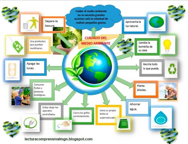¿Cuáles son los componentes del medio ambiente? - SGK-Planet