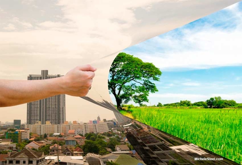 ¿Qué es el medio ambiente y cuál es su importancia? - SGK-Planet