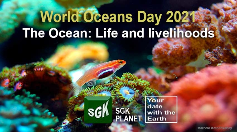 World Oceans Day 2021 The ocean: Life and livelihoods - SGK-Planet