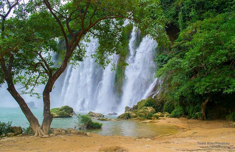 Bosques y agua, dos factores inseparables e imprescindibles - SGK-Planet