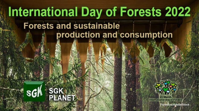 International Day of Forests 2022. Forests and sustainable production ...