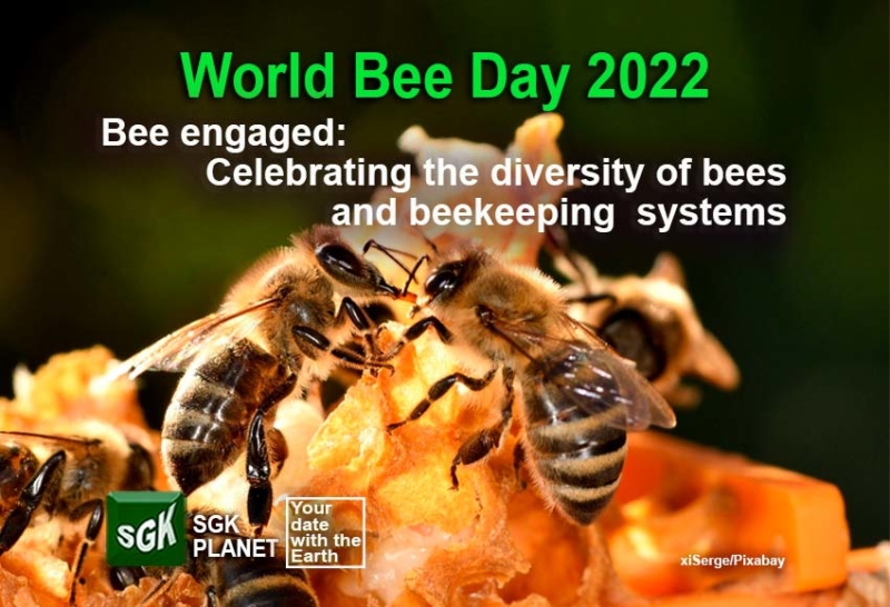 World Bee Day 2022 - SGK-Planet