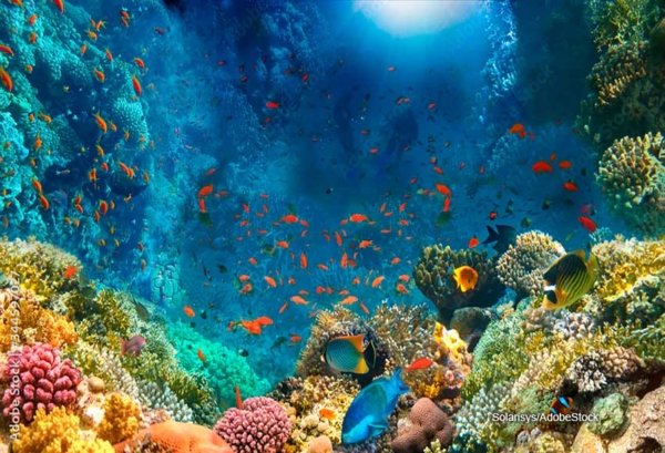 FAQ about Oceans – SGK-Planet