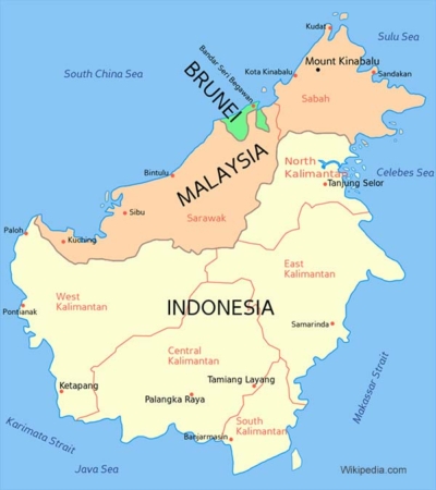 Magazine all about Borneo Rainforest – SGK-Planet