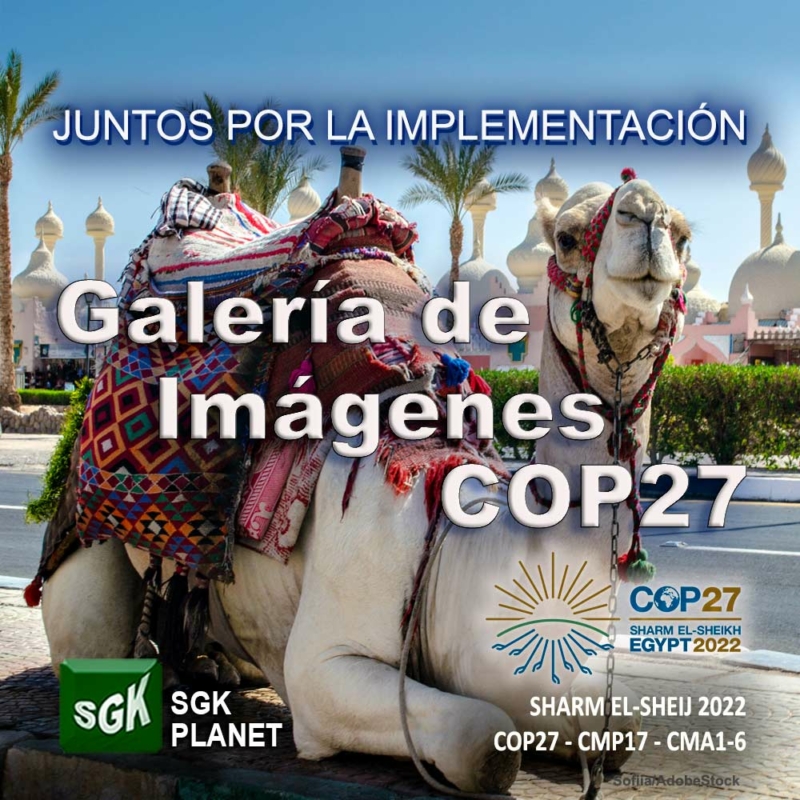 ¿Cuáles fueron las conclusiones de la COP26, Glasgow 2021? - SGK-Planet