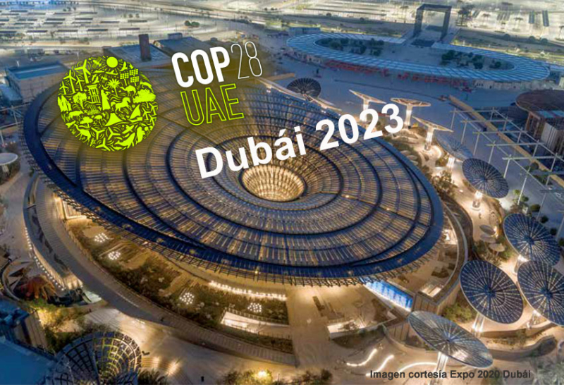 Todo lo que necesitas saber sobre la COP28 - SGK-Planet