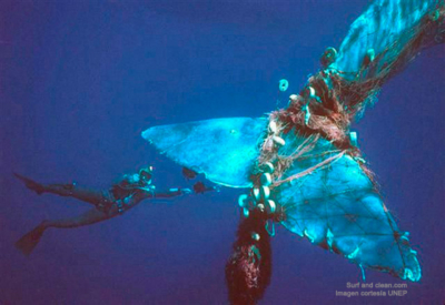 World Oceans Day 2024: Awaken New Depths - SGK-Planet