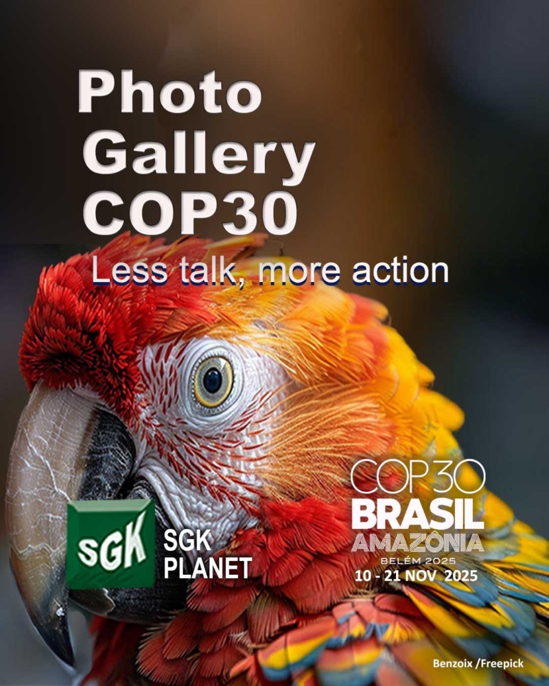 What is COP30, when and where does it take place? - SGK-Planet